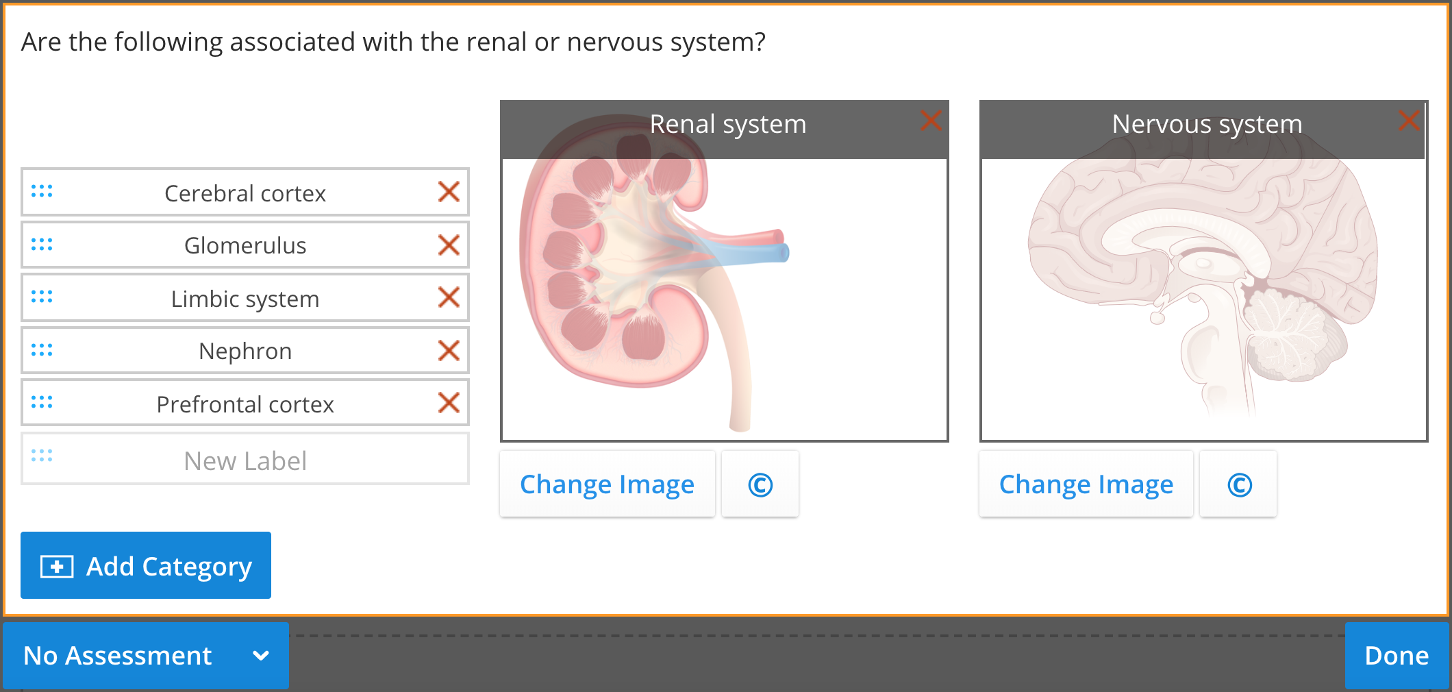 Creating Lt Categories Panels | ADInstruments